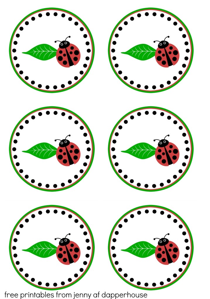 Free Printable Ladybug Party Supplies - Jenny at dapperhouse