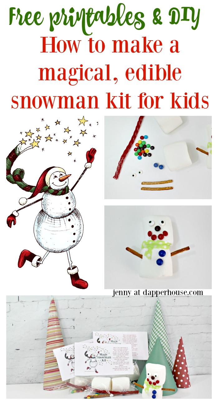 DIY Magic Snowman Kit for Kids with Free Printables - Jenny at dapperhouse