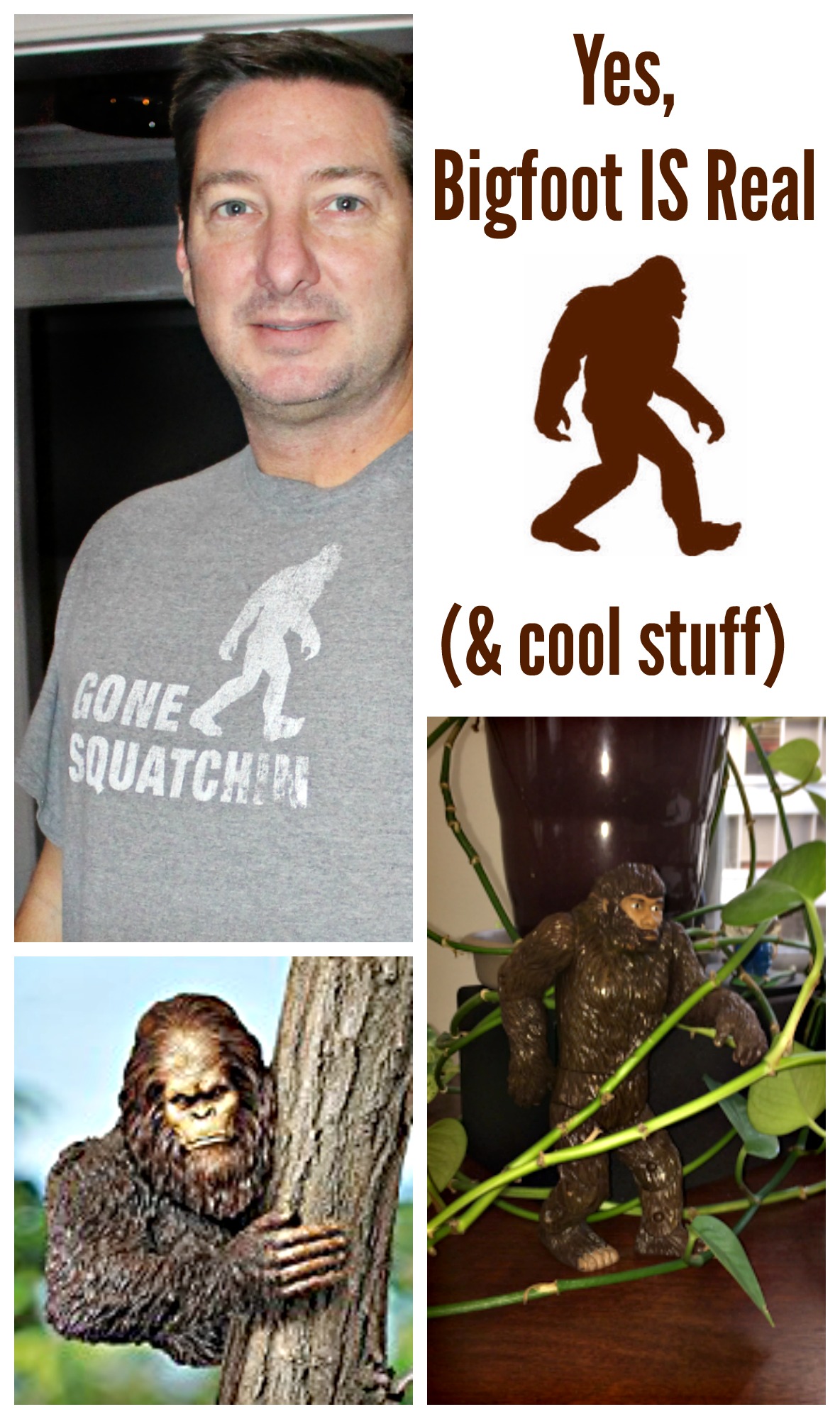 Yes, Bigfoot IS Real (& cool stuff) - Jenny at dapperhouse