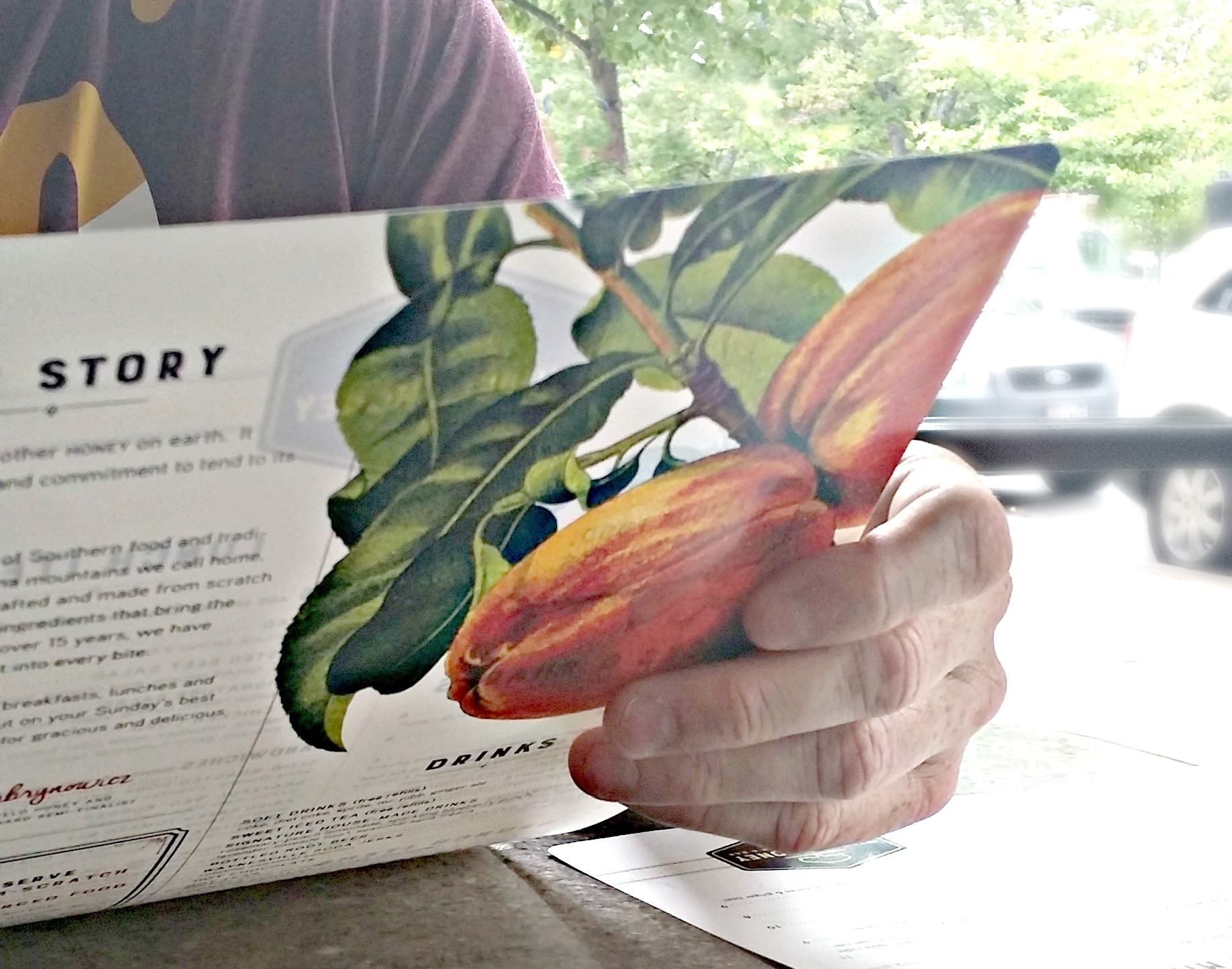 Tupelo Honey Cafe in Downtown Asheville NC for Real Southern Food ...