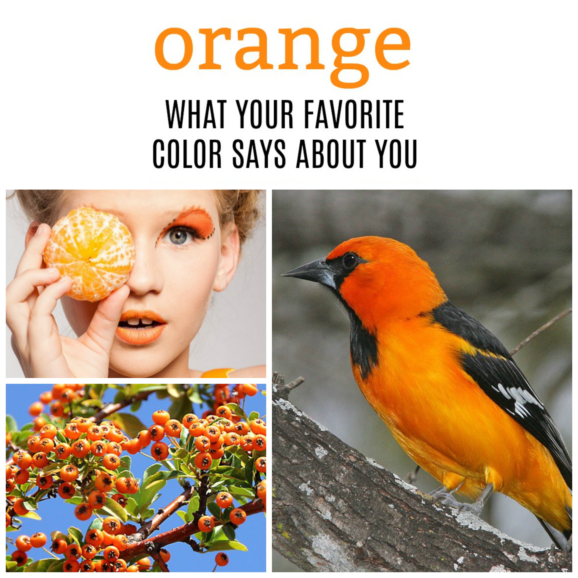 ORANGE - What Your Favorite Color Says About You - Jenny at dapperhouse