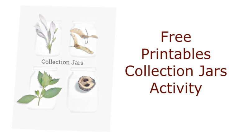 Free Printable Collection Jars Kids Activity - Jenny at dapperhouse