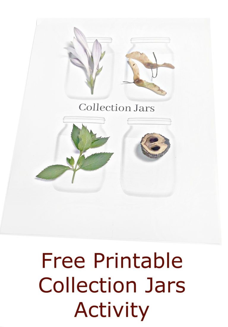 Free Printable Collection Jars Kids Activity - Jenny at dapperhouse