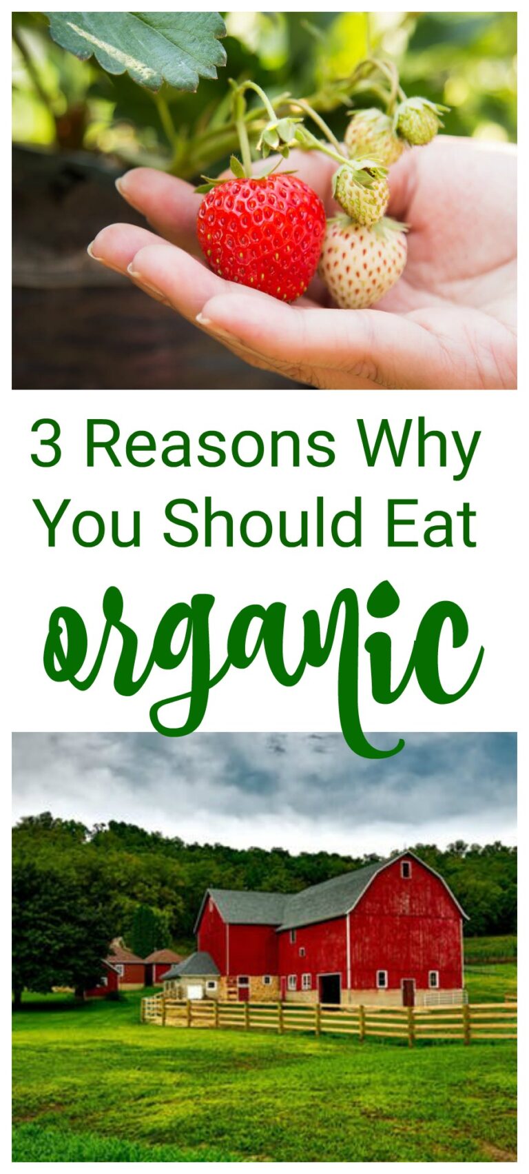 The 3 Most Important Reasons to Eat Organic Foods - Jenny at dapperhouse