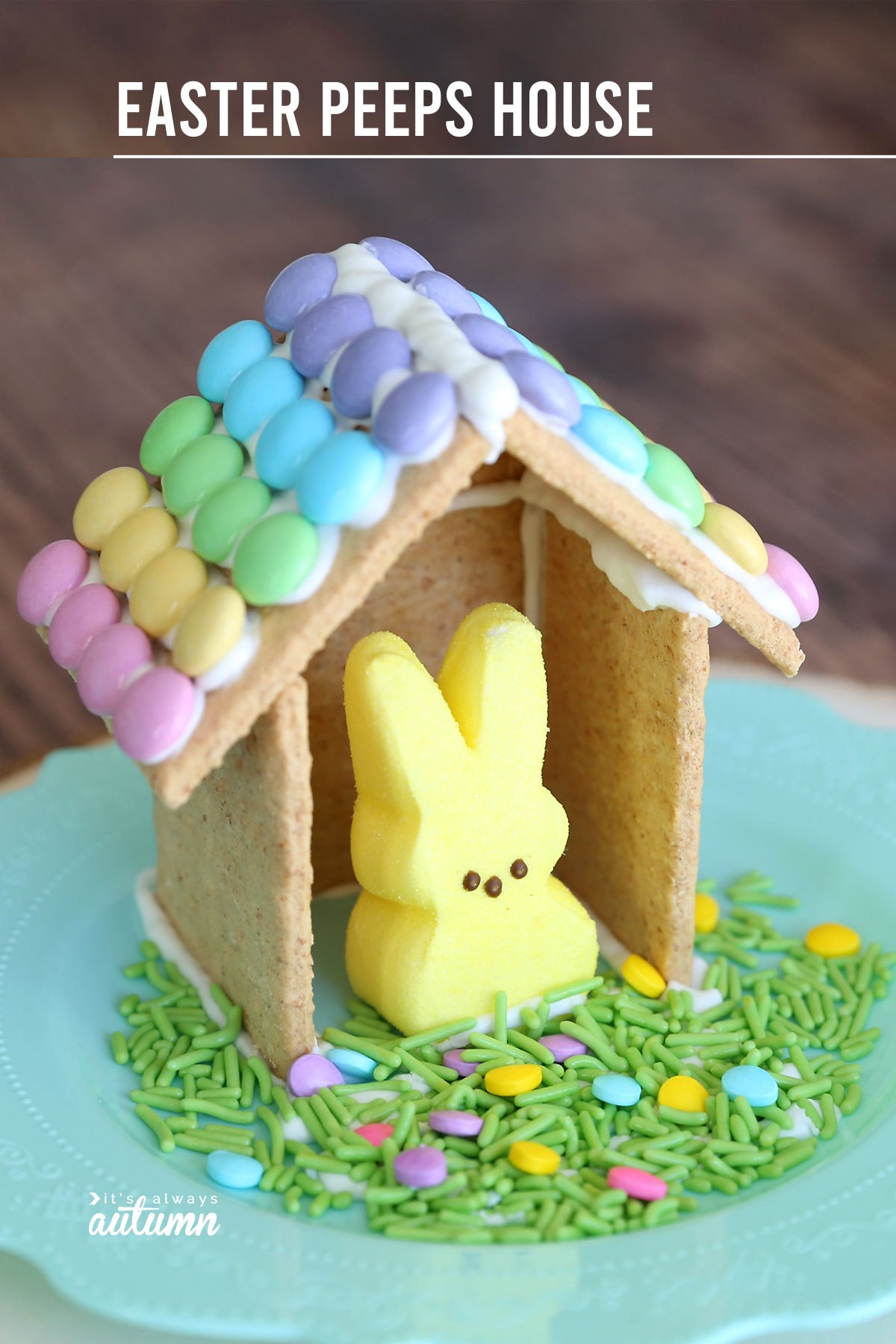 15 Fun DIY Easter Projects and Activities - Jenny at dapperhouse