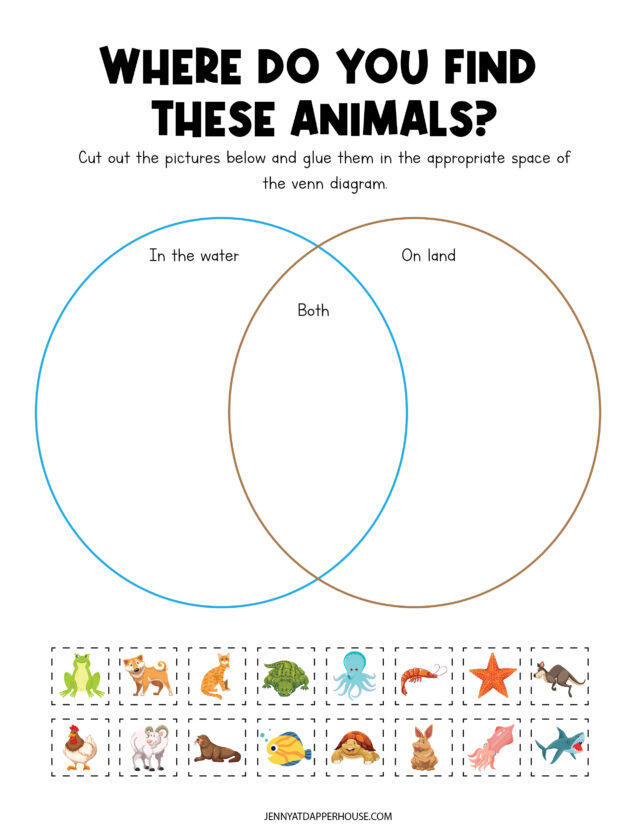 Ocean Life Activity Sheets for Morning Work and Classroom Centers ...