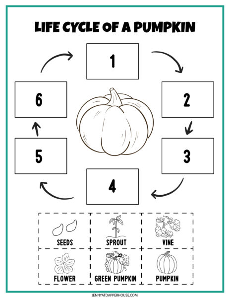Free Printable 7 Page Pumpkin Themed Learning Activity Pack - Jenny at ...