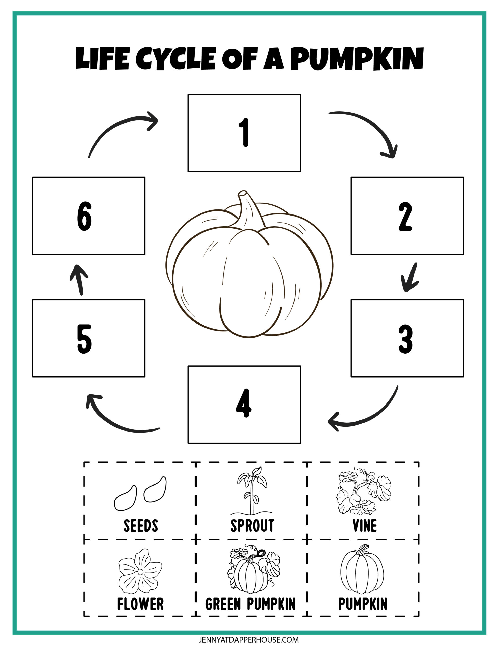 Free Printable 7 Page Pumpkin Themed Learning Activity Pack - Jenny at ...