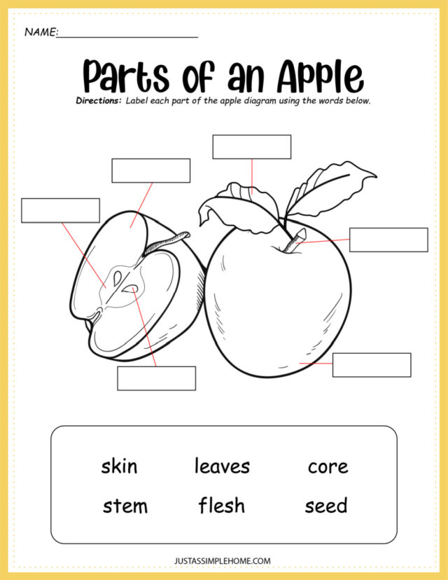 8 Page Apples Learning Activity Pack Free Printables - Jenny at dapperhouse