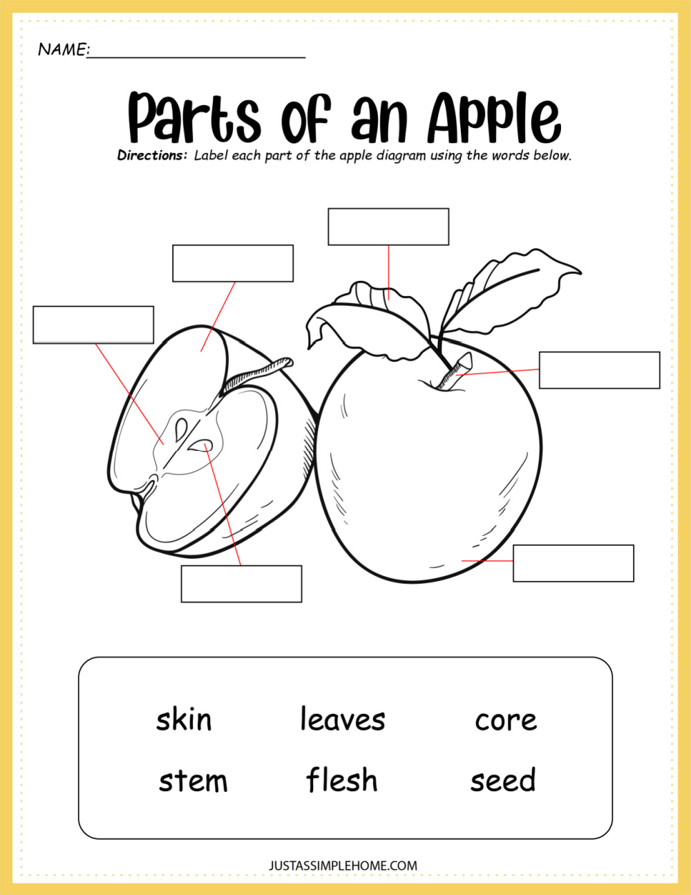8 Page Apples Learning Activity Pack Free Printables - Jenny at dapperhouse
