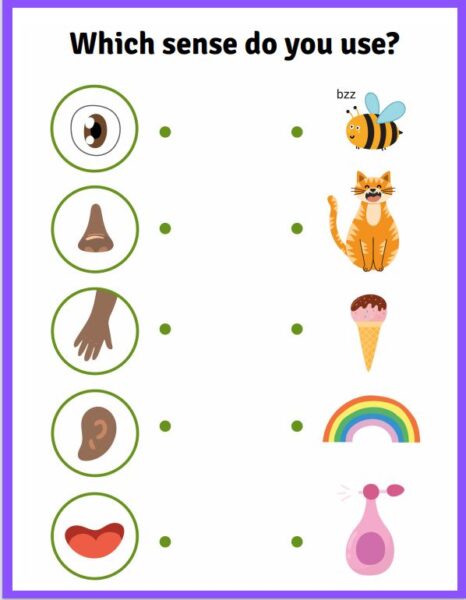 Body Parts and 5 Senses Free Printables for Children - Jenny at dapperhouse