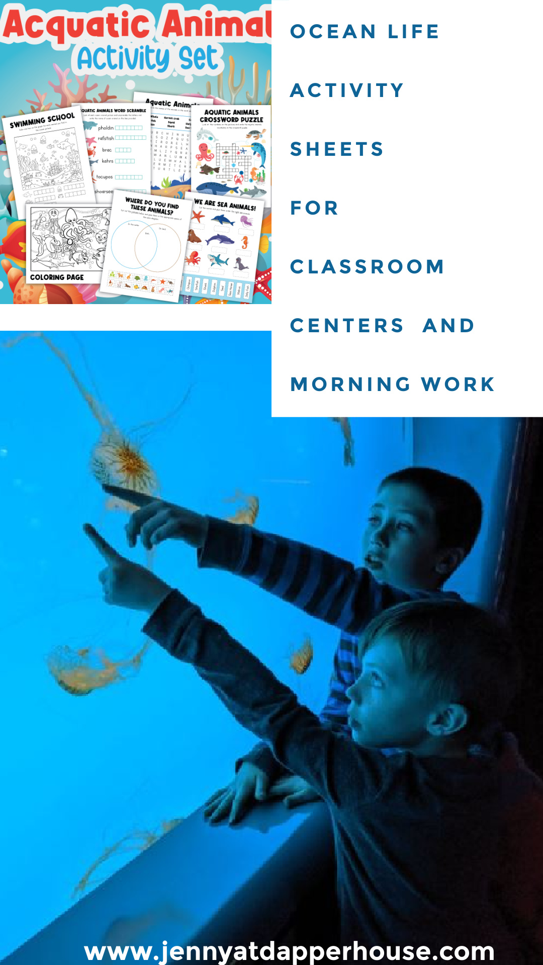 Ocean Life Activity Sheets for Morning Work and Classroom Centers ...