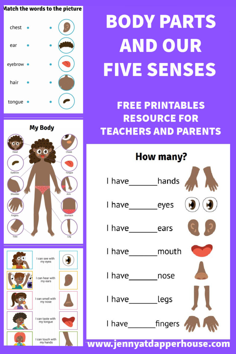 Body Parts and 5 Senses Free Printables for Children - Jenny at dapperhouse