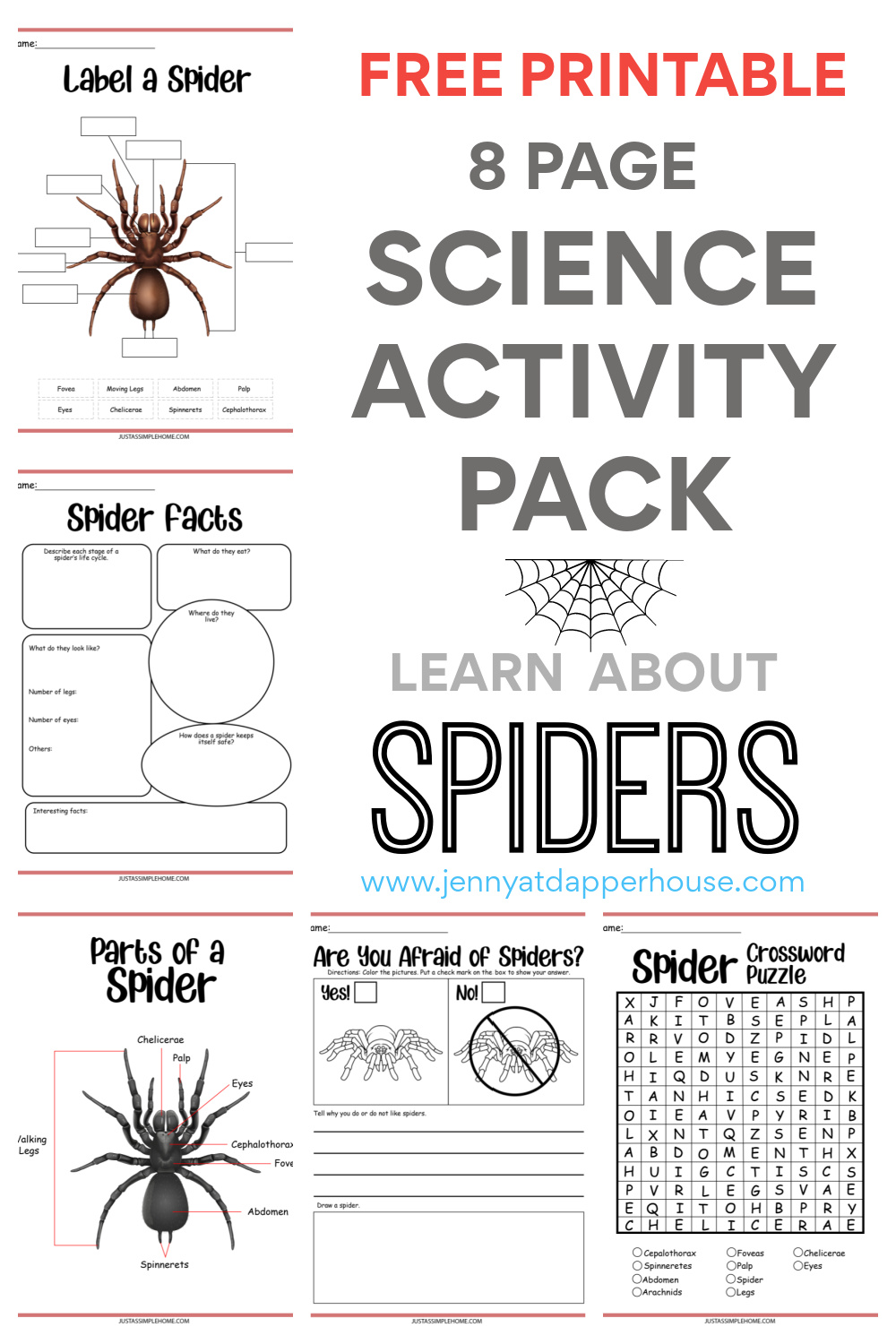 8 Free Printable Learning Pages about Spiders - Jenny at dapperhouse
