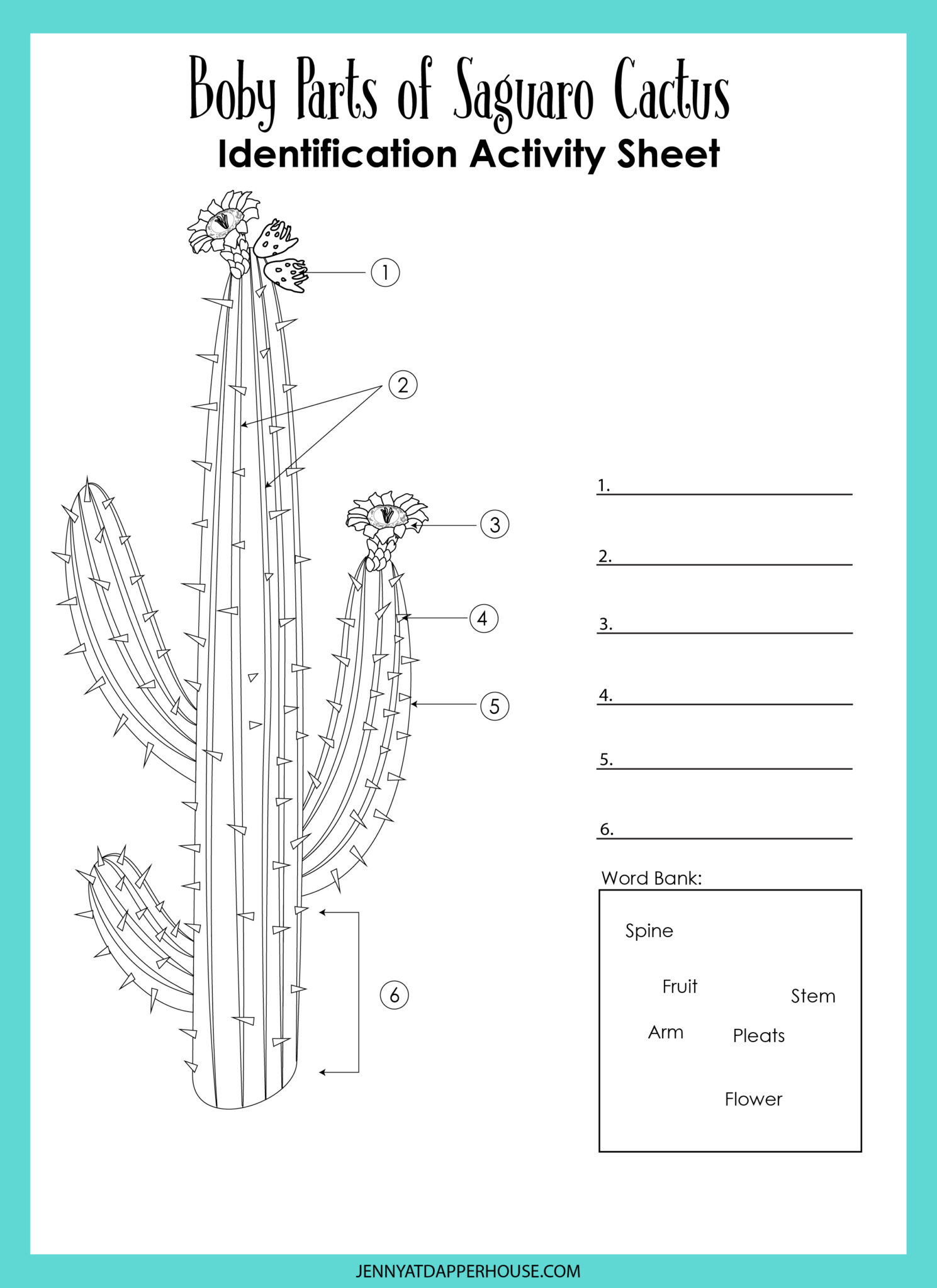 All About Saguaro Cactus Free Printable Learning Activity Pages - Jenny ...