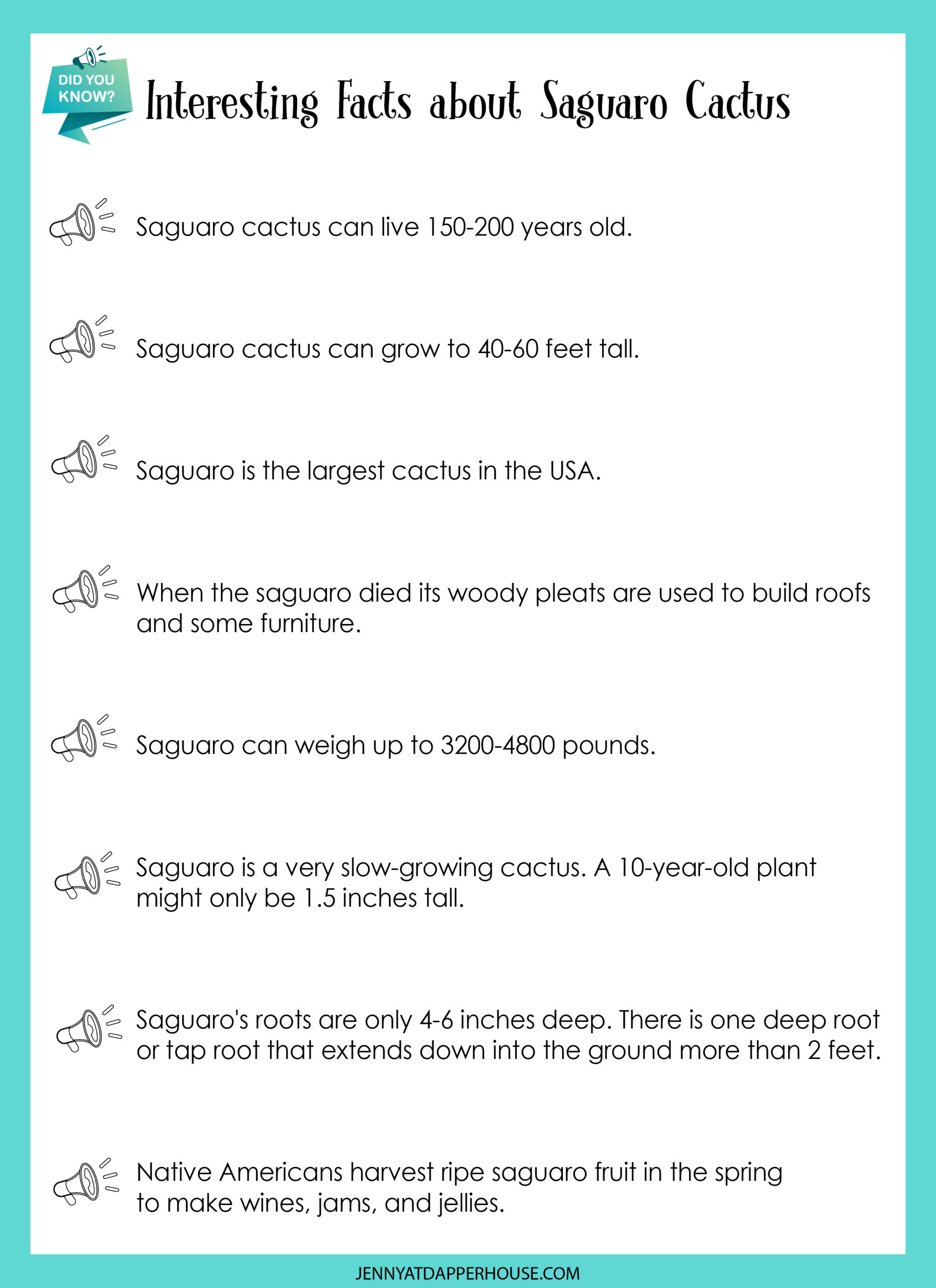 All About Saguaro Cactus Free Printable Learning Activity Pages - Jenny ...