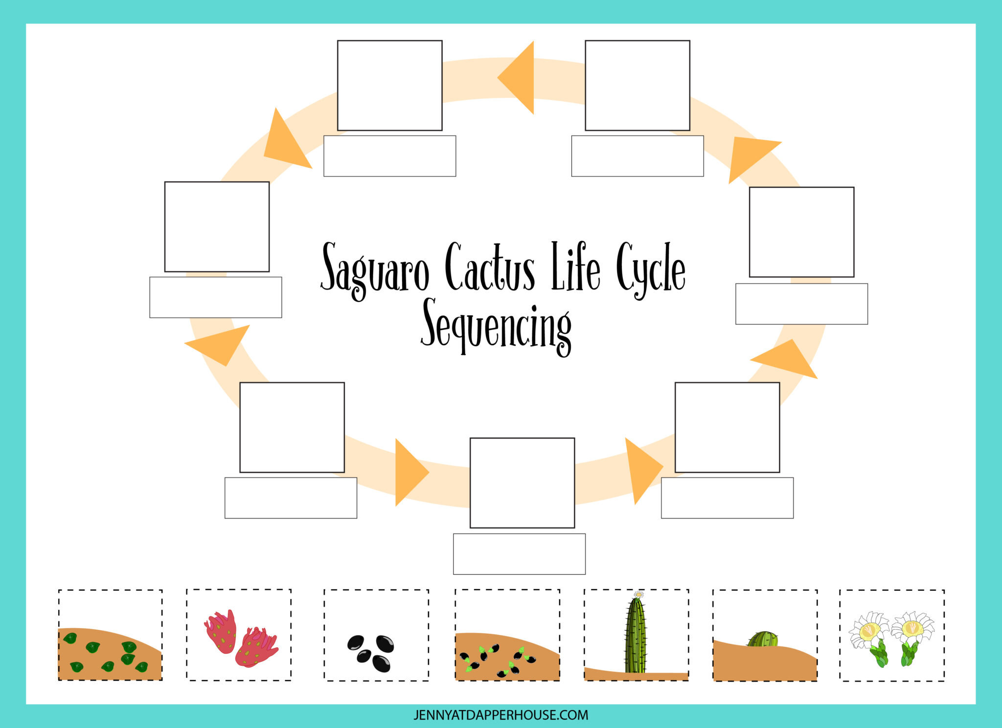 All About Saguaro Cactus Free Printable Learning Activity Pages - Jenny ...