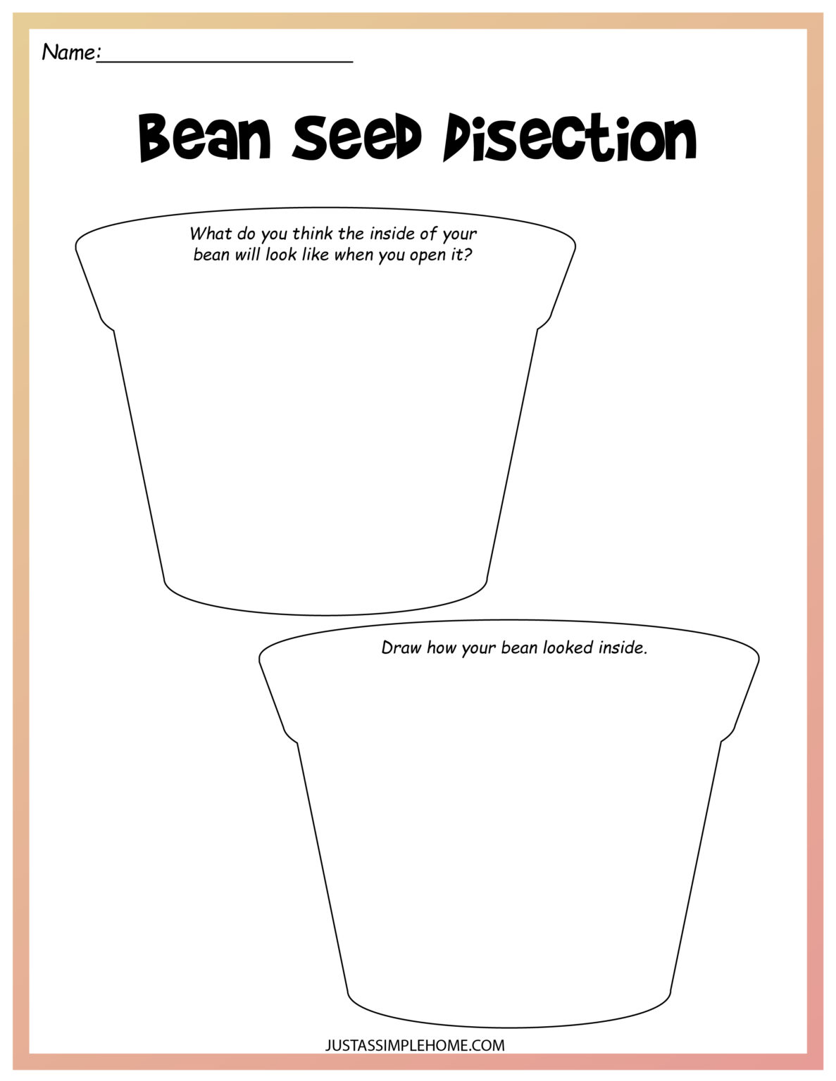 Free Printable Science Packet About Beans and Their Growth Cycle ...