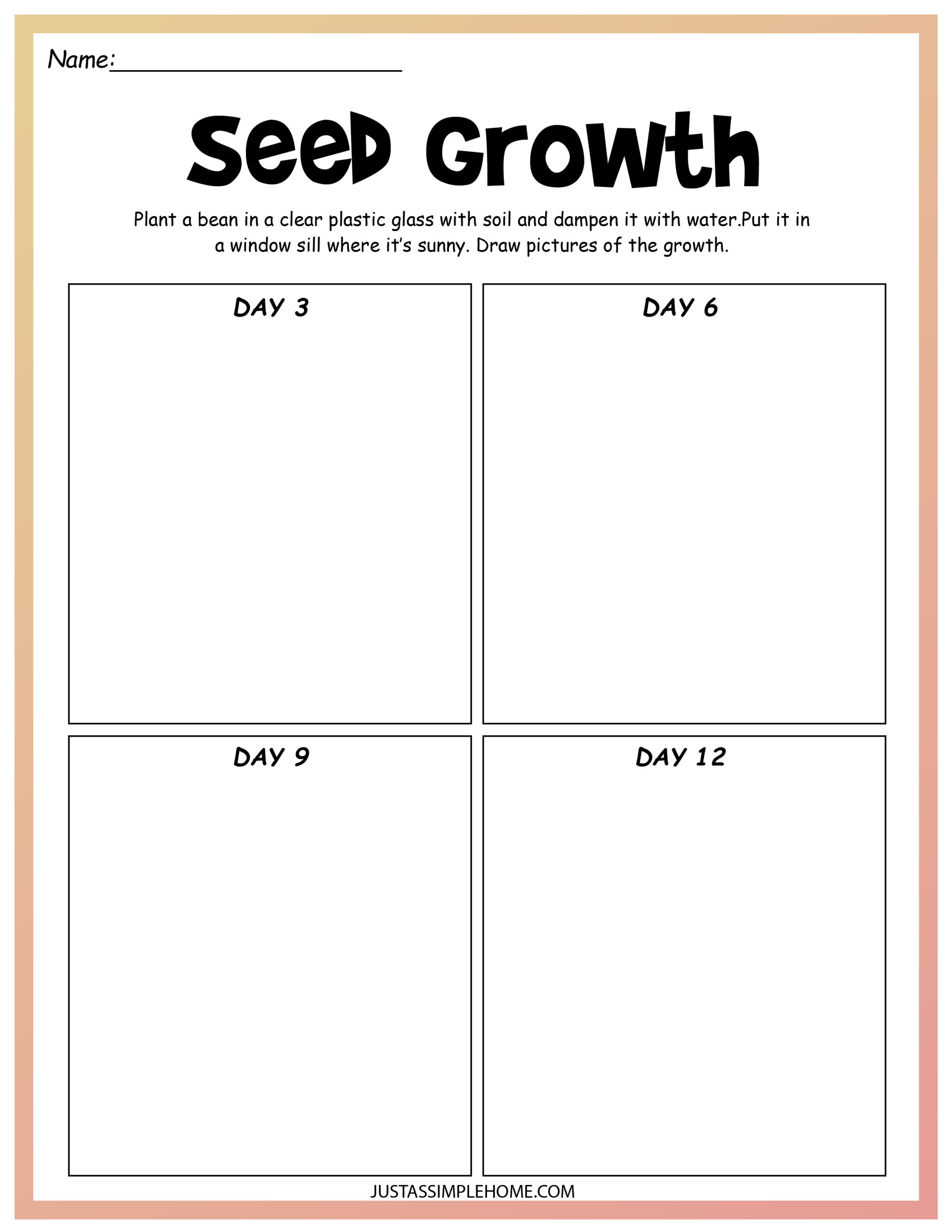 Free Printable Science Packet About Beans and Their Growth Cycle ...