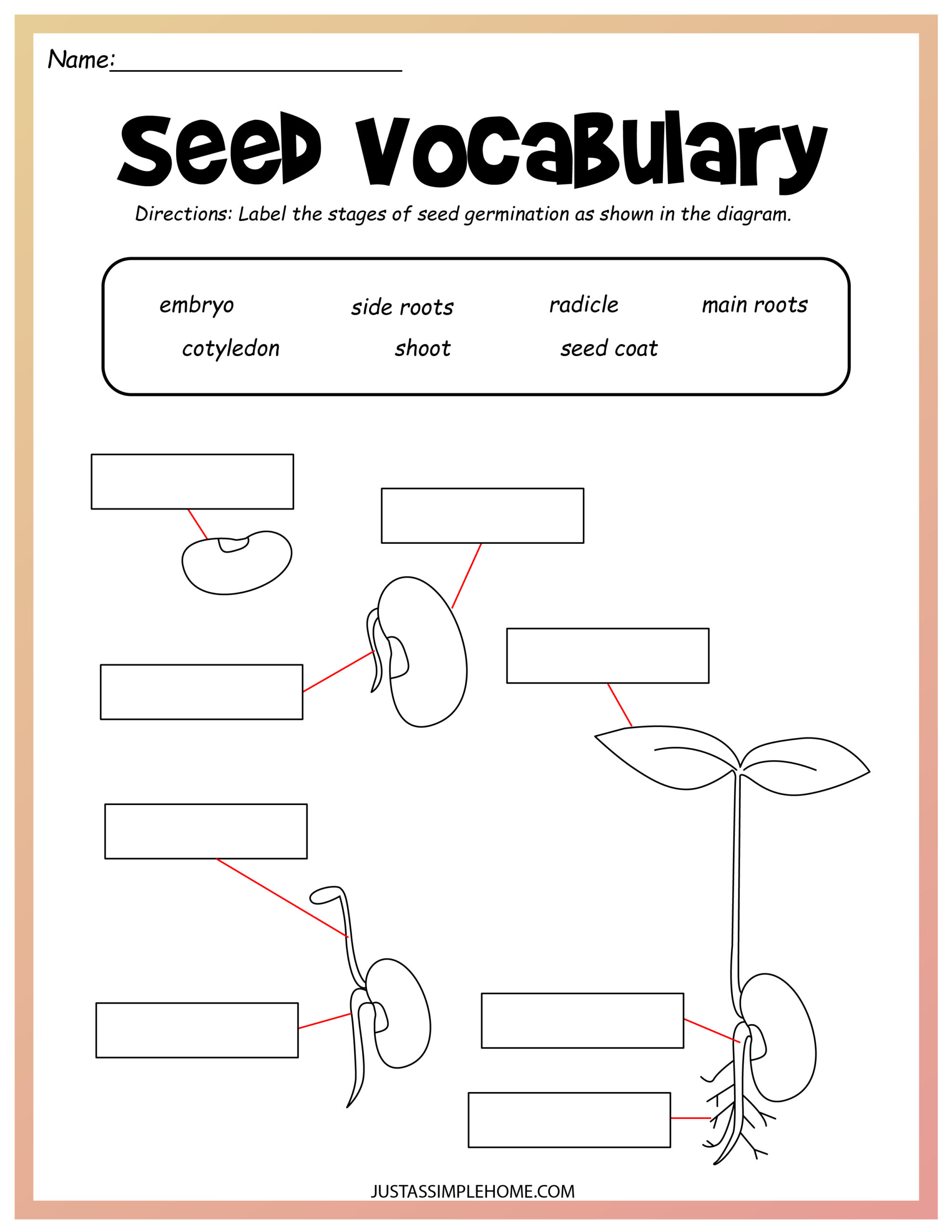 Free Printable Science Packet About Beans and Their Growth Cycle ...