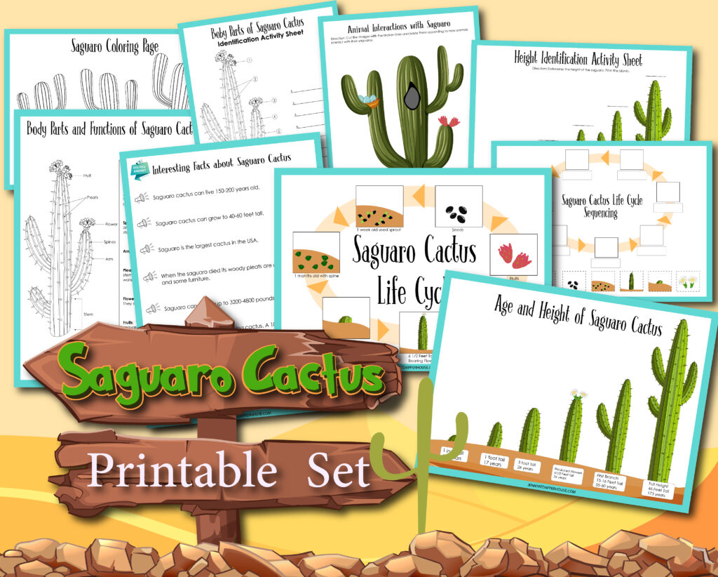 All About Saguaro Cactus Free Printable Learning Activity Pages - Jenny ...