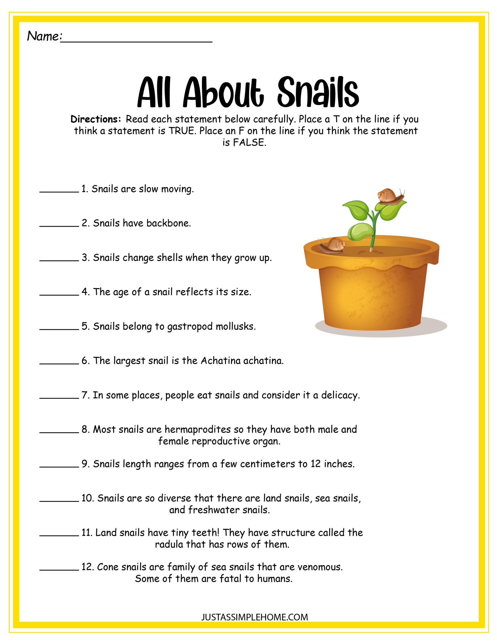 8 Page Science Activity Pack About Snails Free Printables - Jenny at ...