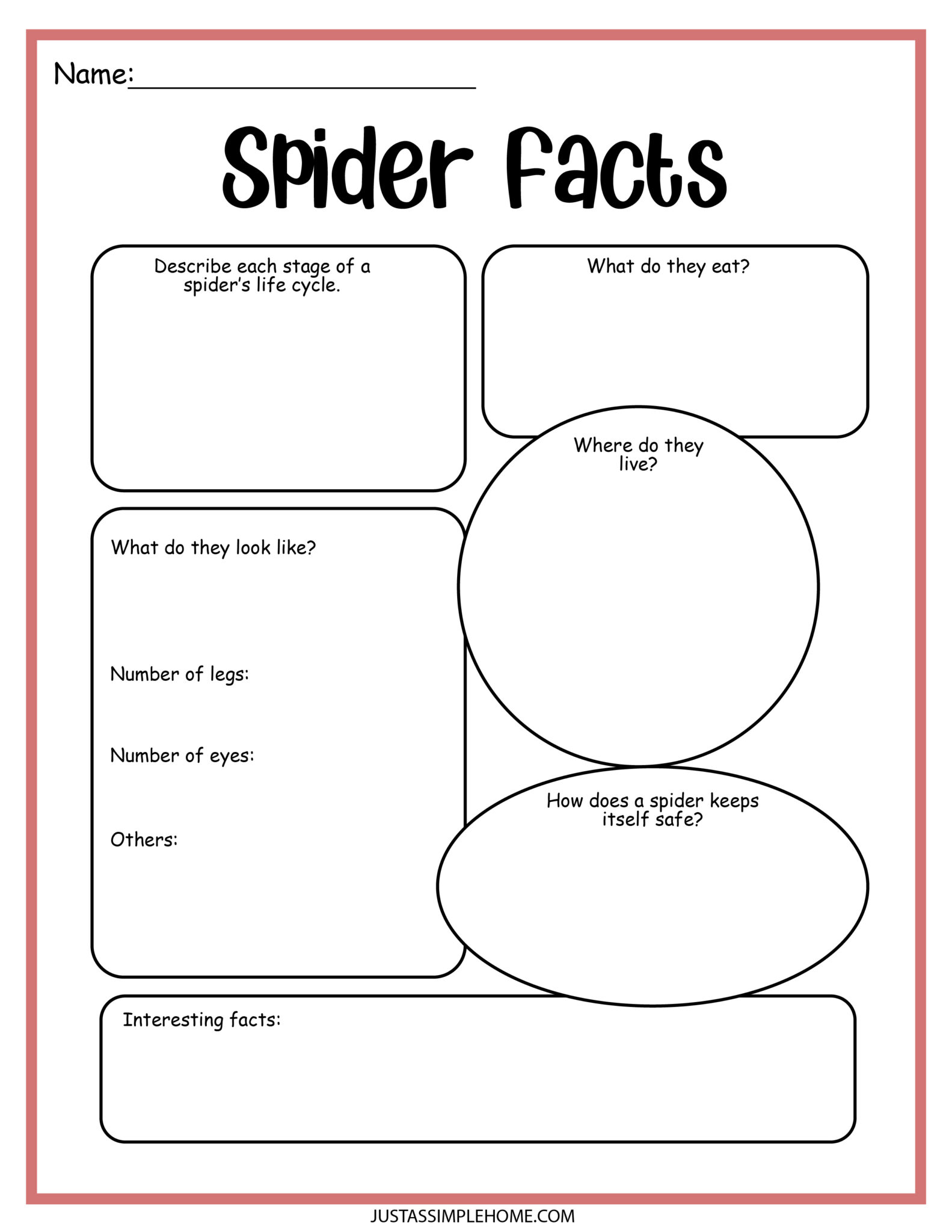 8 Free Printable Learning Pages about Spiders - Jenny at dapperhouse