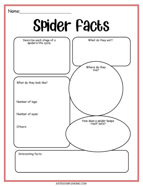 8 Free Printable Learning Pages about Spiders - Jenny at dapperhouse