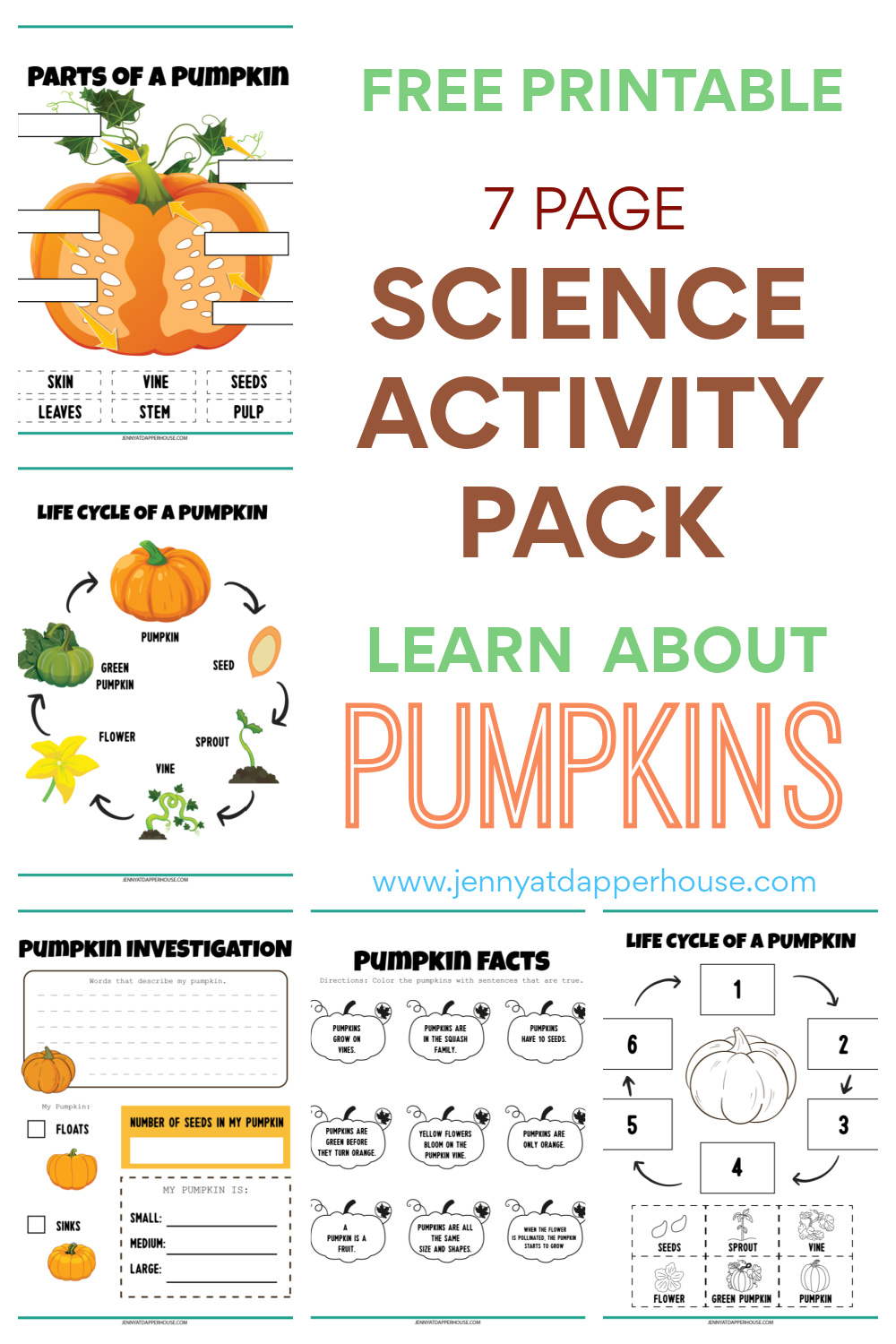 Free Printable 7 Page Pumpkin Themed Learning Activity Pack - Jenny at ...