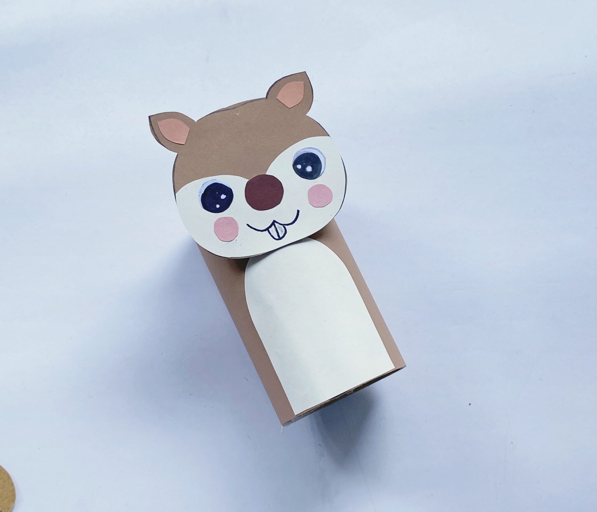 Tissue Paper Roll Squirrel Craft for Kids Ages - Jenny at dapperhouse