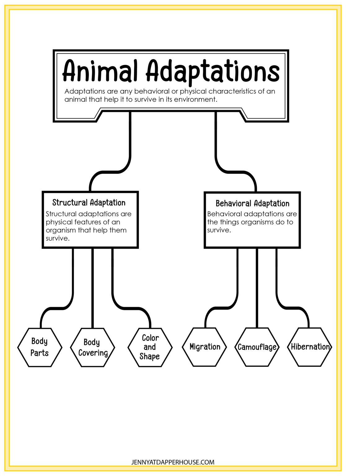 Free Printable 11 Page Animal Adaptations Educational Packet - Jenny at ...