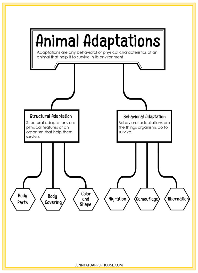 Free Printable 11 Page Animal Adaptations Educational Packet - Jenny at ...