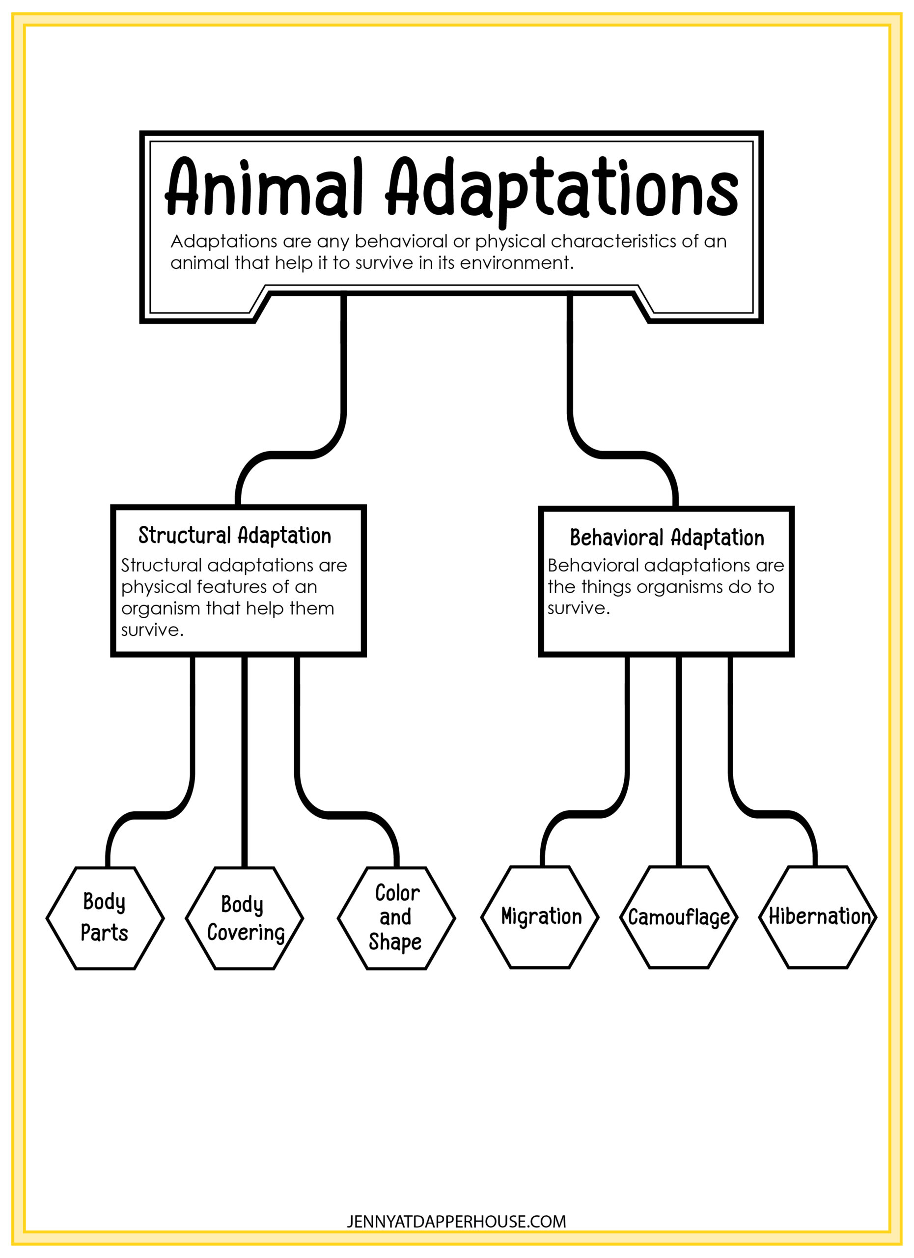 Free Printable 11 Page Animal Adaptations Educational Packet - Jenny at ...