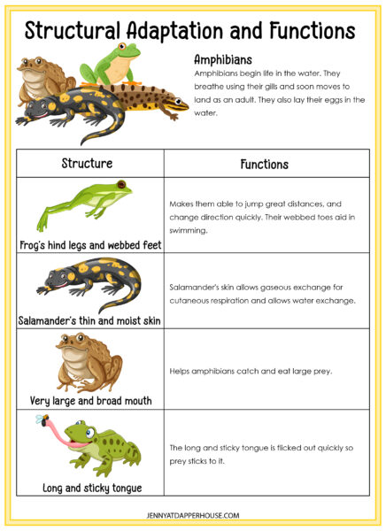 Free Printable 11 Page Animal Adaptations Educational Packet - Jenny at ...