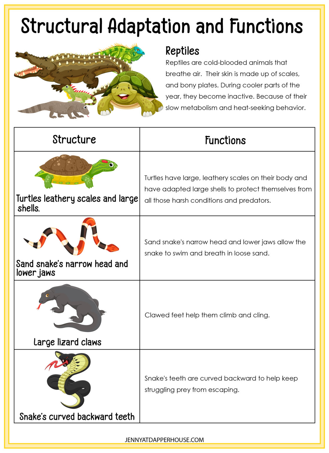 Free Printable 11 Page Animal Adaptations Educational Packet - Jenny at ...