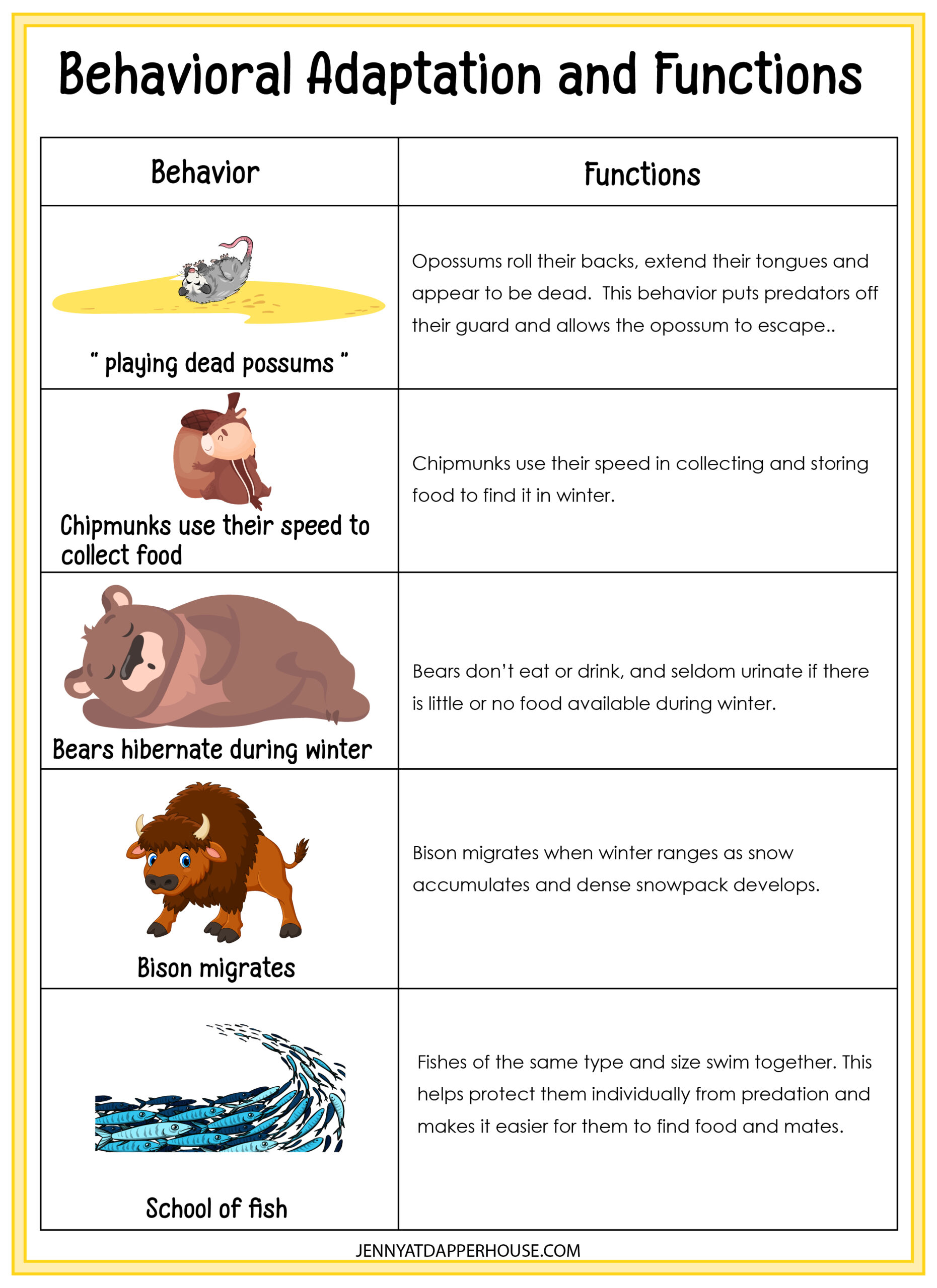 Free Printable 11 Page Animal Adaptations Educational Packet - Jenny at ...
