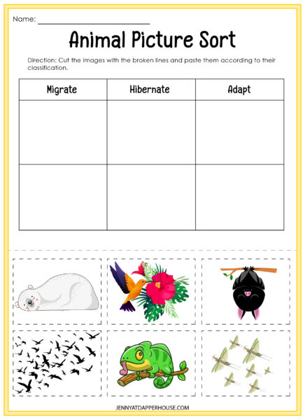 Free Printable 11 Page Animal Adaptations Educational Packet - Jenny at ...