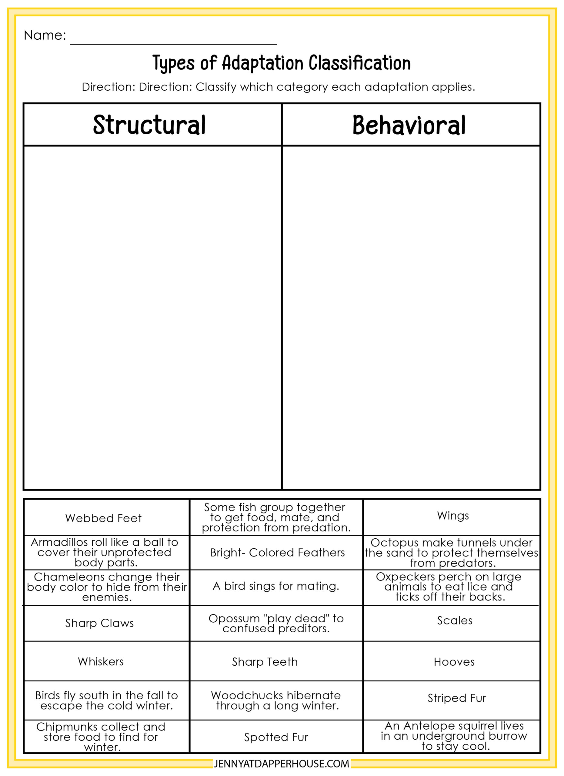 Free Printable 11 Page Animal Adaptations Educational Packet - Jenny at ...