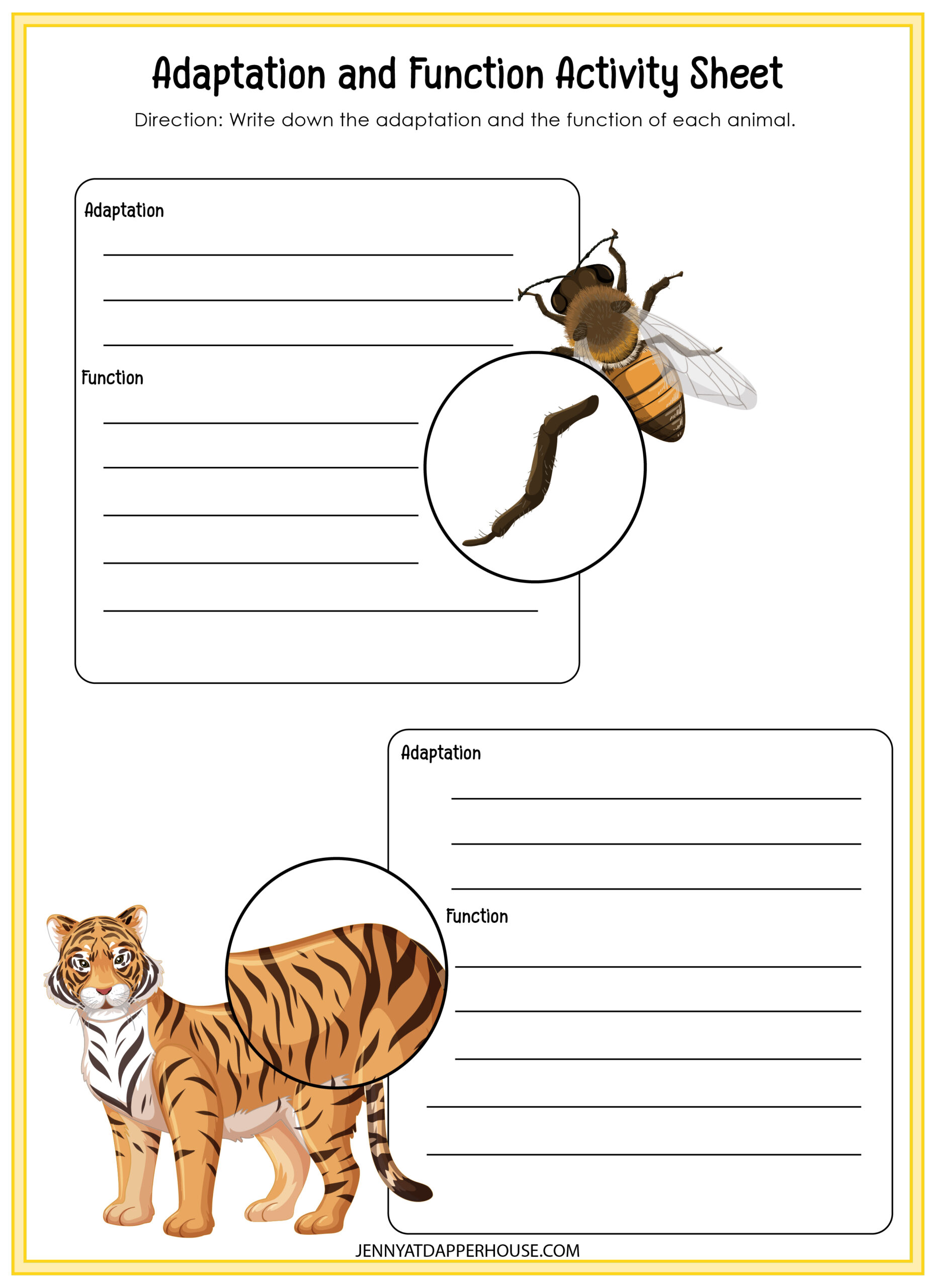 Free Printable 11 Page Animal Adaptations Educational Packet - Jenny at ...