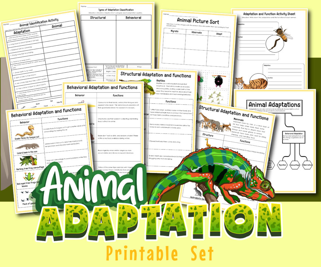 Free Printable 11 Page Animal Adaptations Educational Packet - Jenny at ...