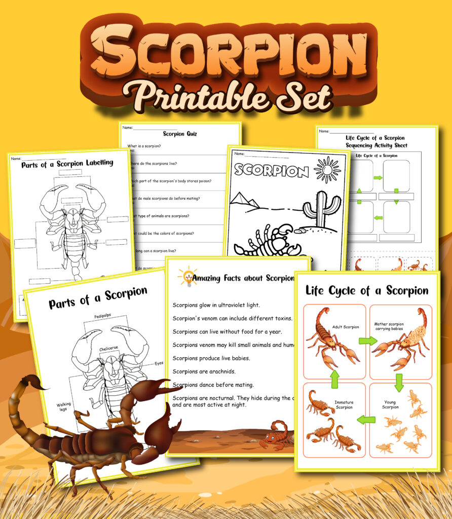 7 Page Scorpion Learning Packet - Free Printable - Jenny at dapperhouse