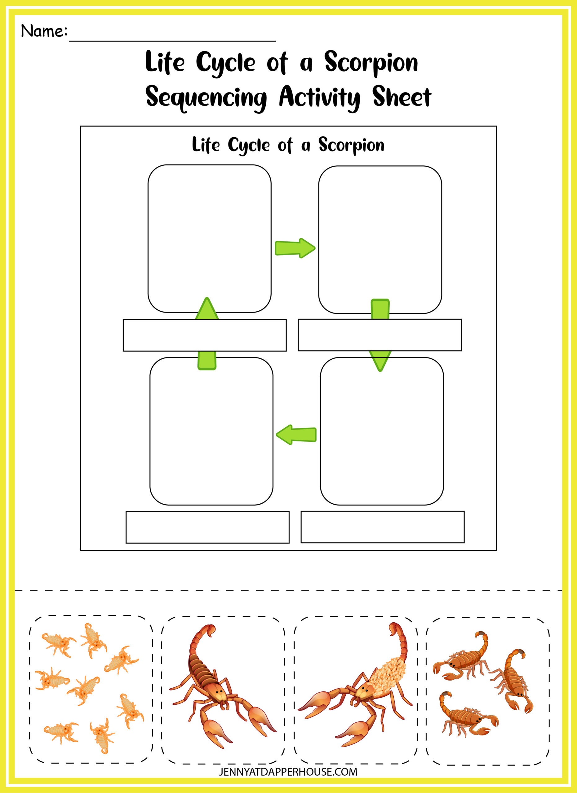 7 Page Scorpion Learning Packet - Free Printable - Jenny at dapperhouse