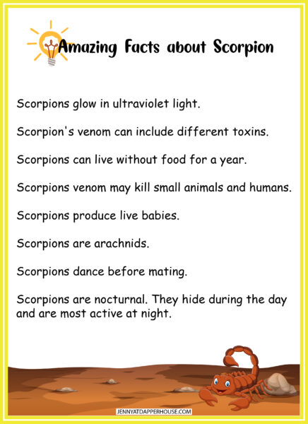 7 Page Scorpion Learning Packet - Free Printable - Jenny at dapperhouse