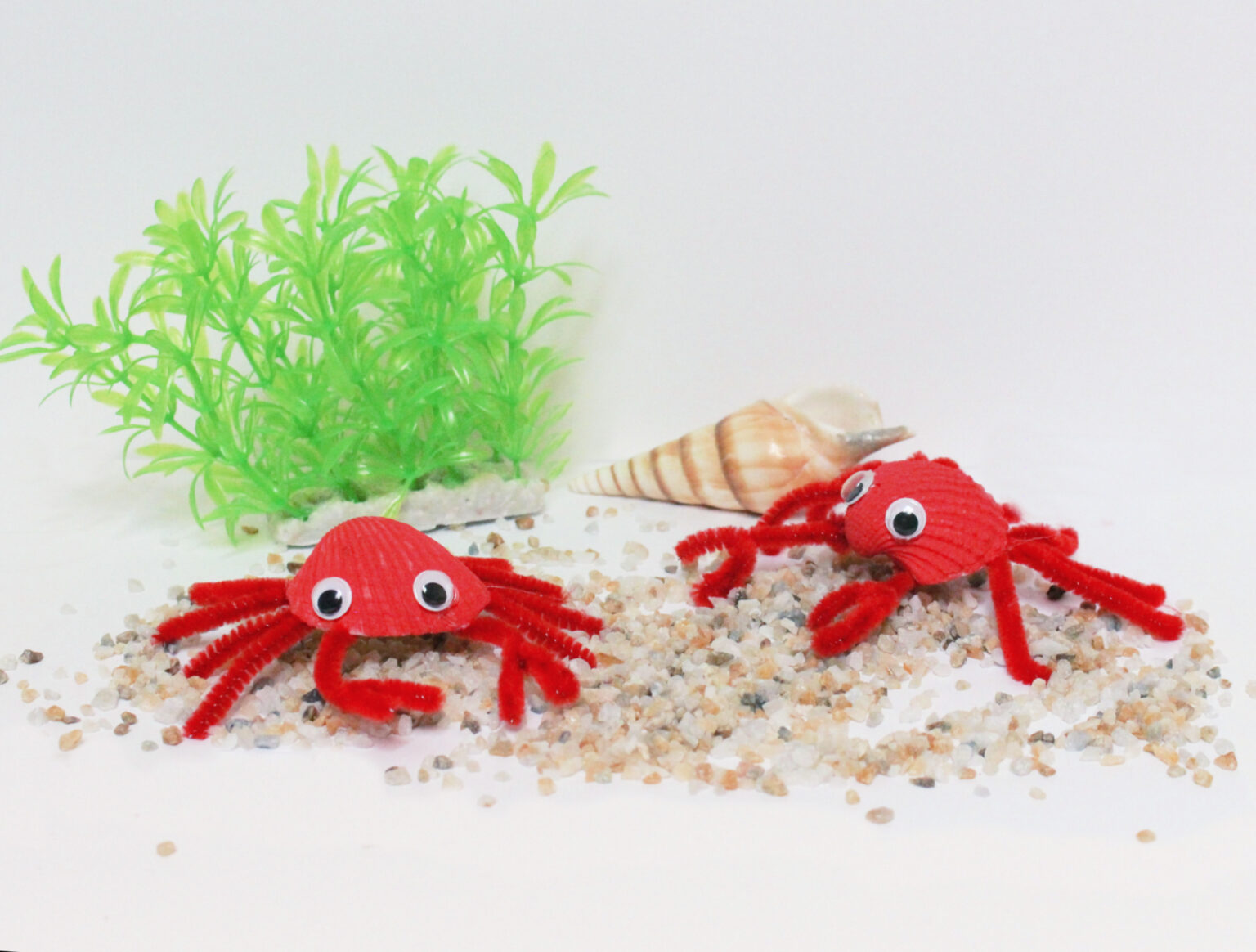 20 Cool Facts About Crabs - Jenny at dapperhouse