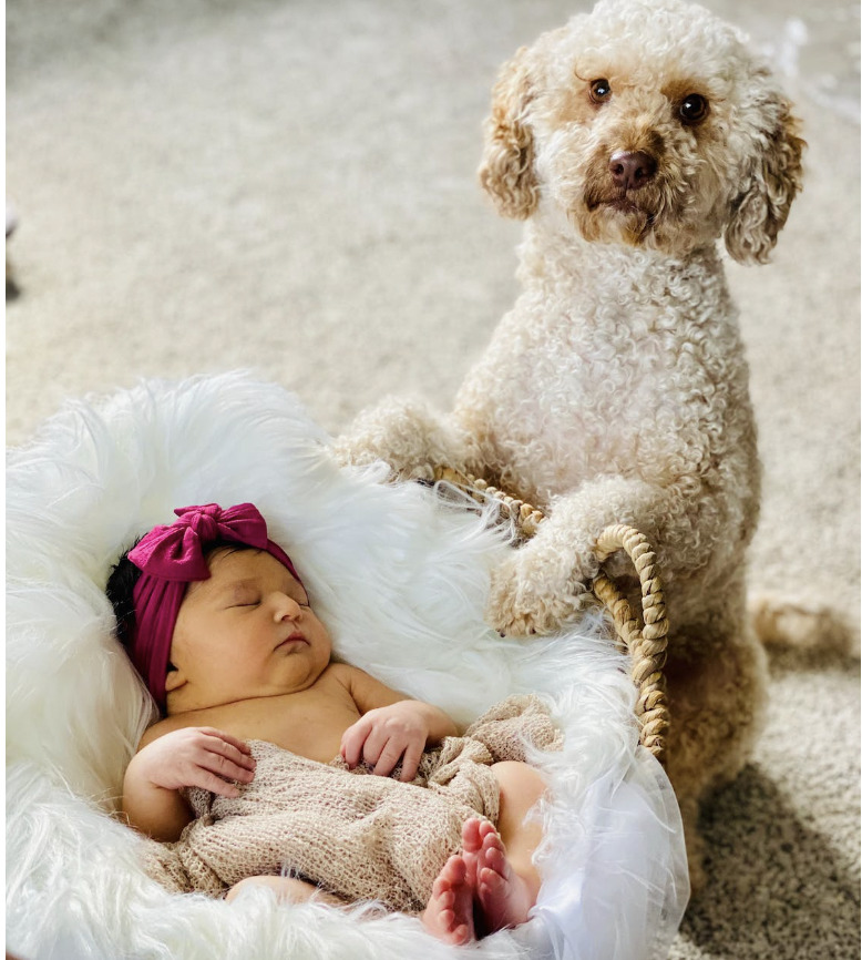 A Newborn Baby and a Dog Can Be a Great Relationship - Jenny at dapperhouse