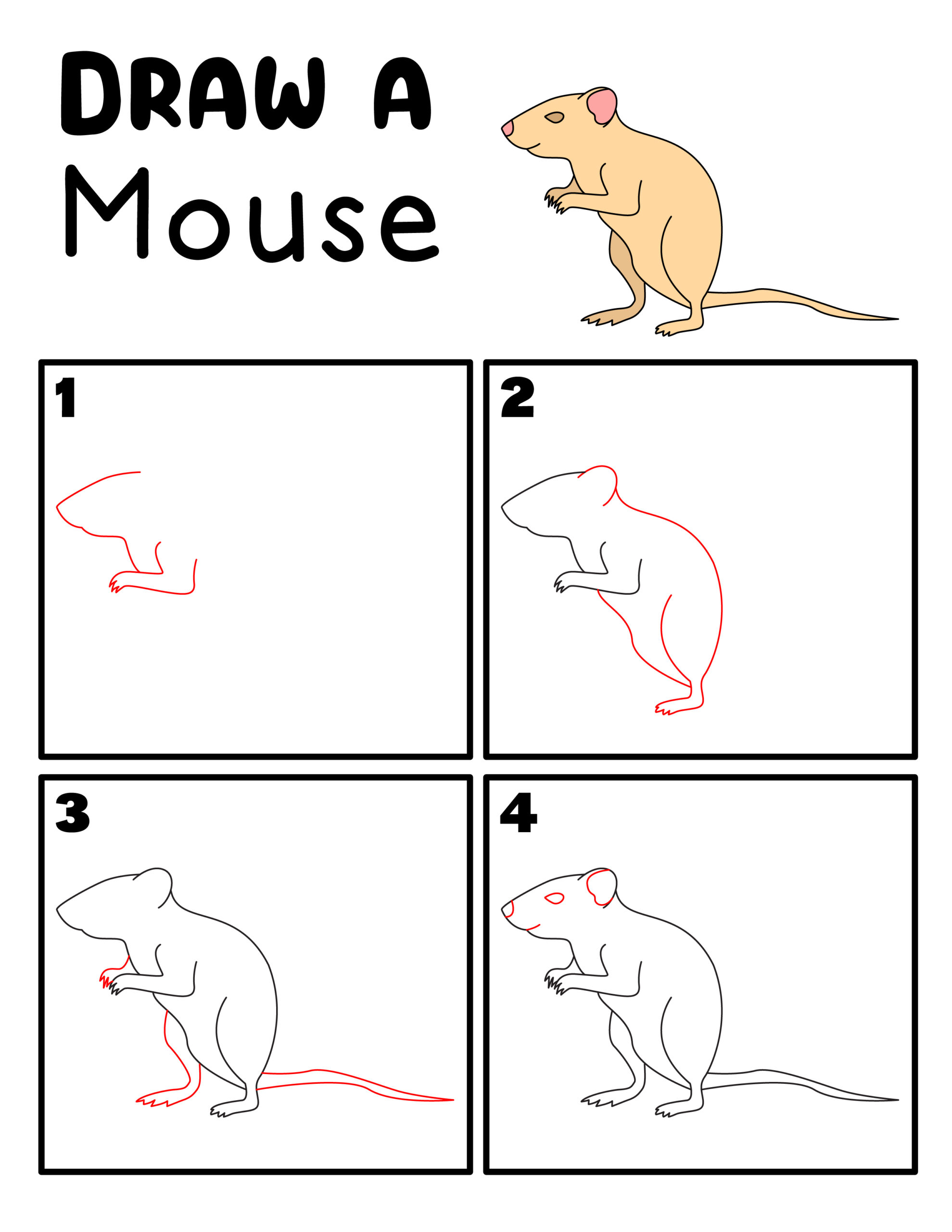 4 Step Directed Drawing Cards for Kids Pet Edition - Jenny at dapperhouse