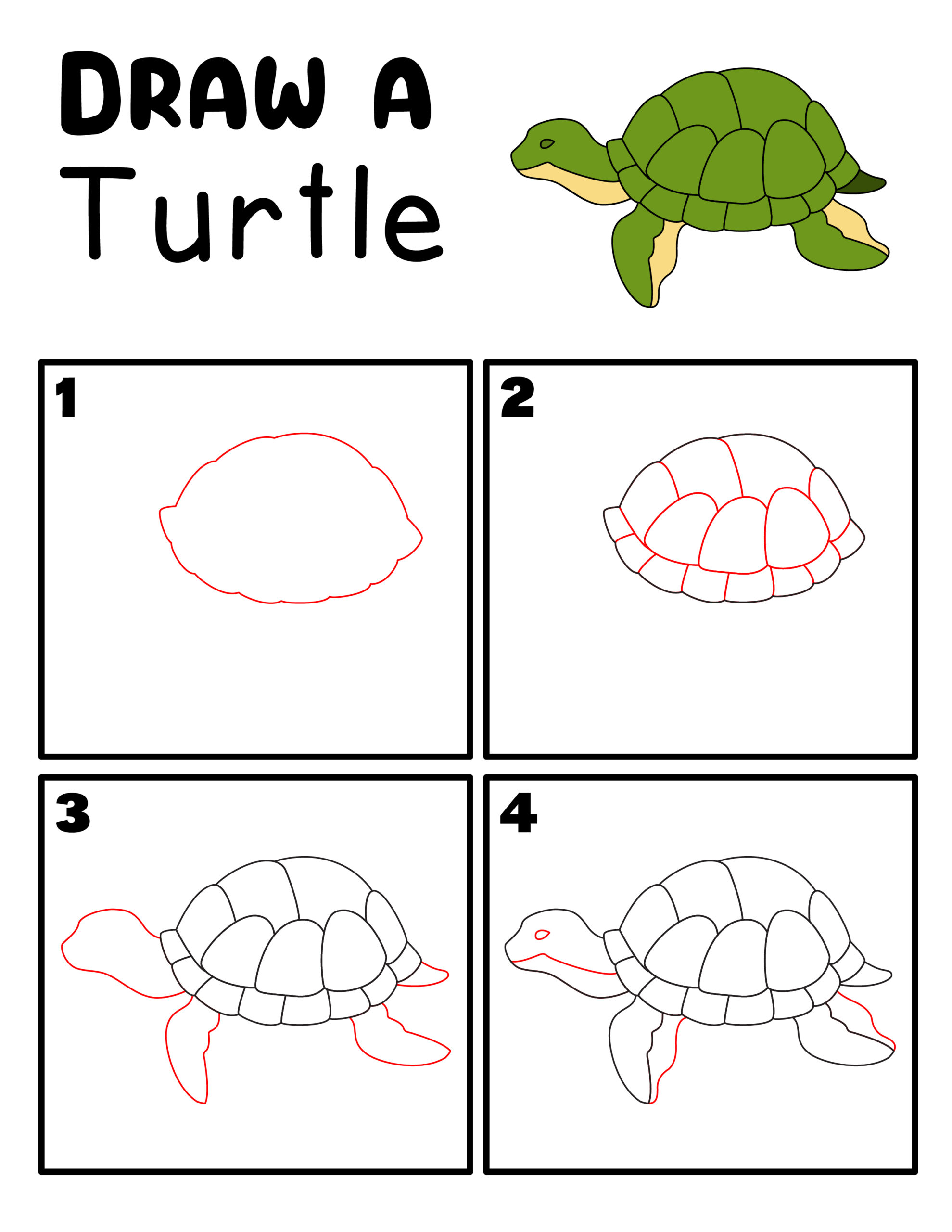 4 Step Directed Drawing Cards for Kids Pet Edition - Jenny at dapperhouse