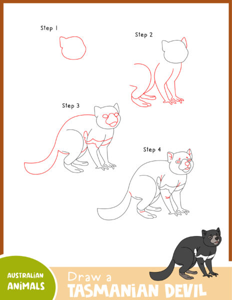 Learn to Draw Australian Animals During Family Time - Jenny at dapperhouse