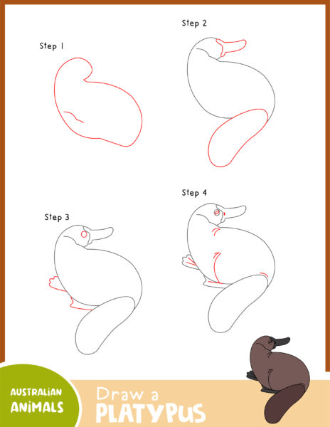 Learn to Draw Australian Animals During Family Time - Jenny at dapperhouse