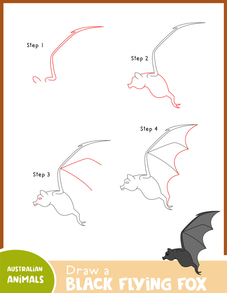 Learn to Draw Australian Animals During Family Time - Jenny at dapperhouse